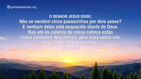 Versículo do dia — explicação de Lucas 12:6-7: Sentir o cuidado e o ...